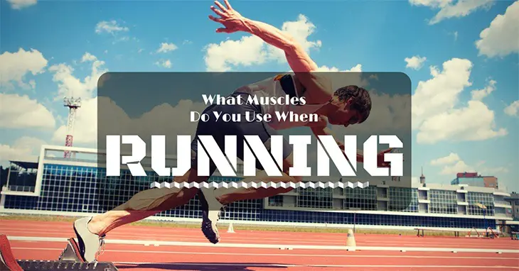 What muscles do you use when running GoAheadRunner what-muscles-do-you-use-when-running-goaheadrunner